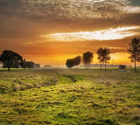 MTOR 활성화와 근육 성장 촉진 방법 - 스마트 픽시파이